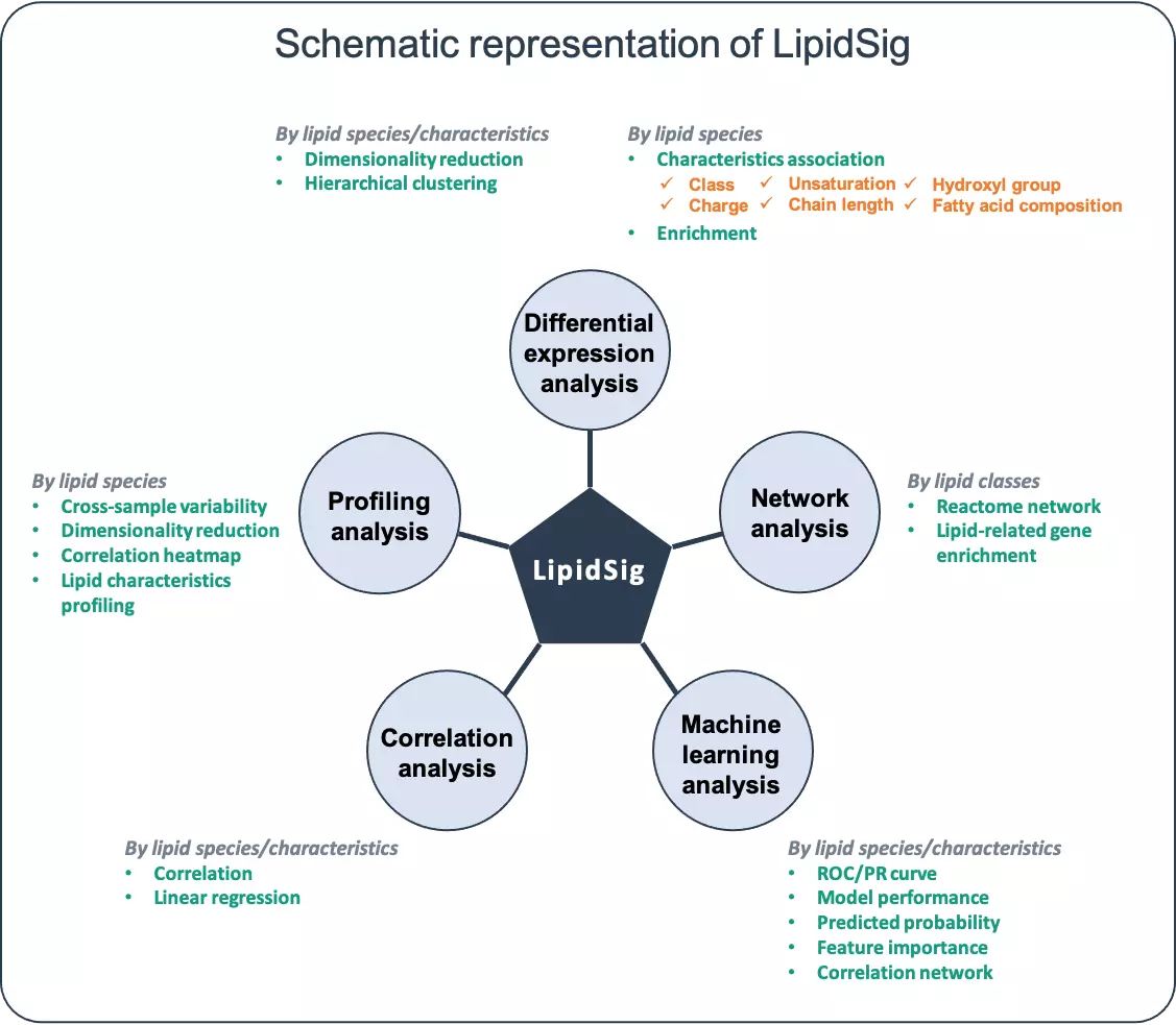 LipidSig: a web-based tool for lipidomic data analysis